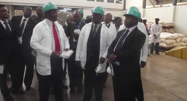 Seed Co launches new maize seed varieties - herald