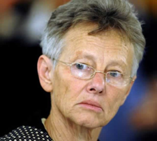 Ambassador raps Daily News fibs – herald