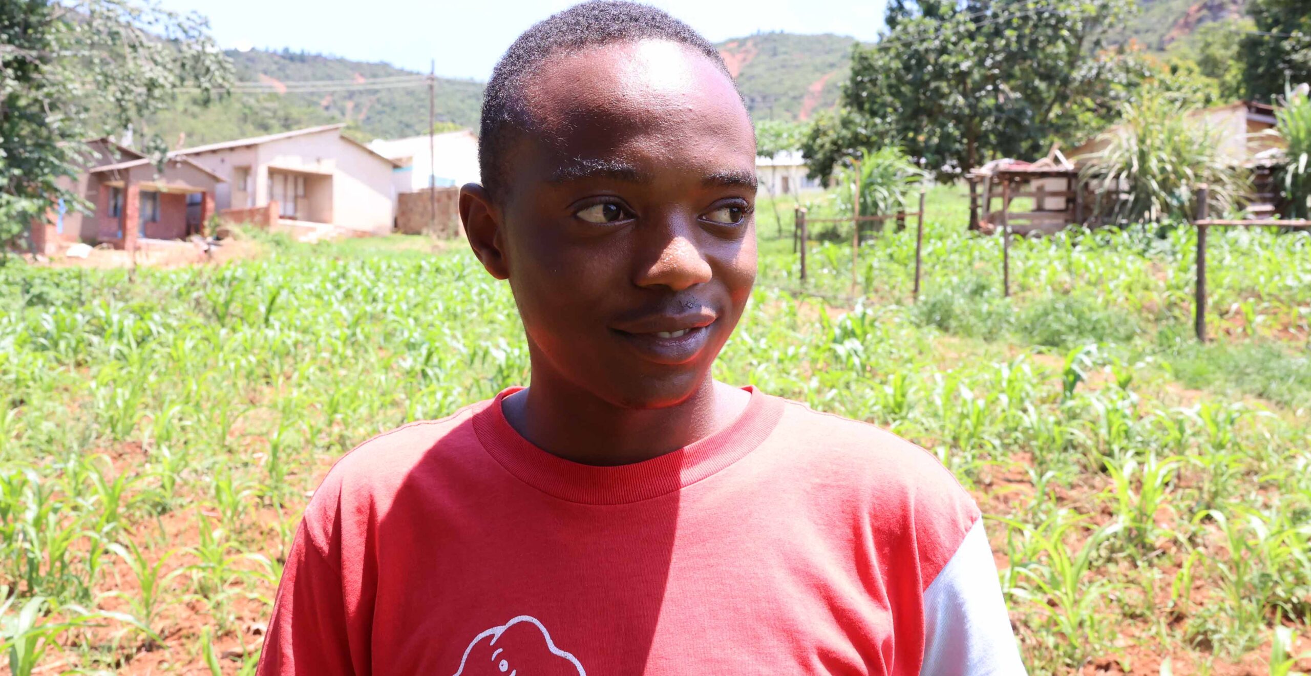 The phoenix of Chimanimani - herald