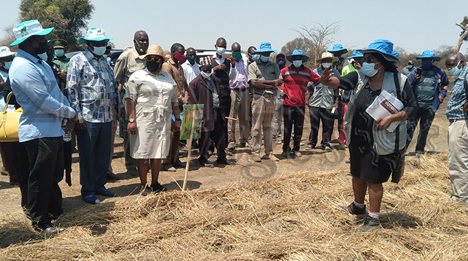 Makonde district Pfumvudza Scheme launched – herald