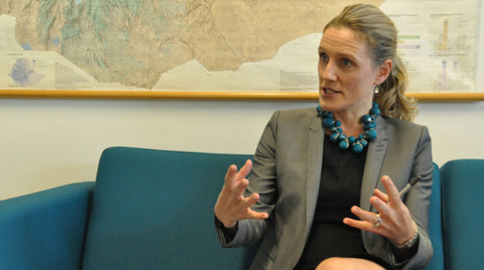 US dollar payments can spur investment in green energy – UK Ambassador ...