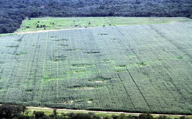 Govt releases $2,5m for silo refurbishment - herald