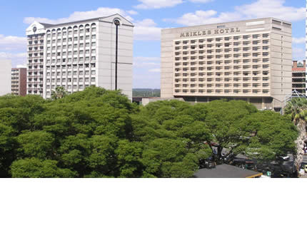 Meikles puts Zambia plans on hold - herald
