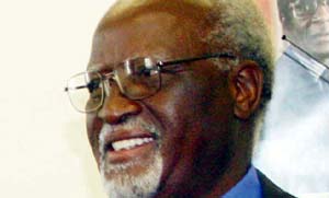 Erect Nkomo statue in Harare — family - herald