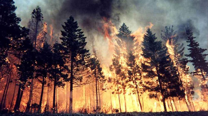 Extinguishing veld fire menace – herald