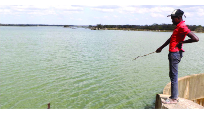 WATCH: A tale of survival and depletion, fishermen fight for their ...