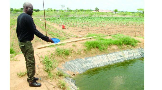 THE THREES OF MHLOPHE’S LIFE ... Football, farming and business - herald