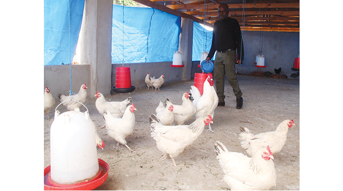 THE THREES OF MHLOPHE’S LIFE ... Football, farming and business - herald