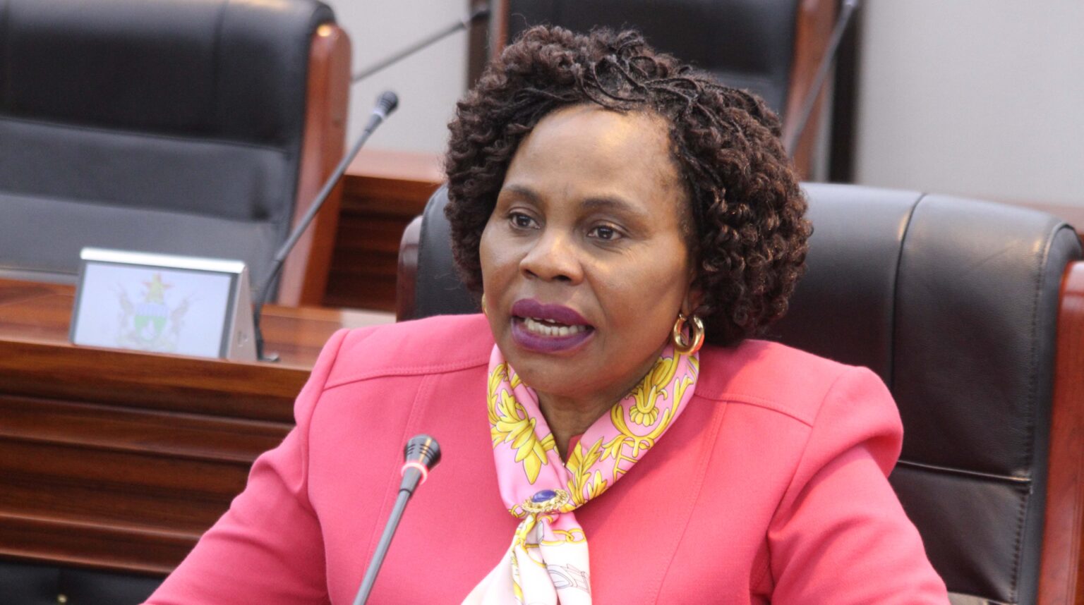 Government charts Inclusive, sustainable path to economic rebound ...