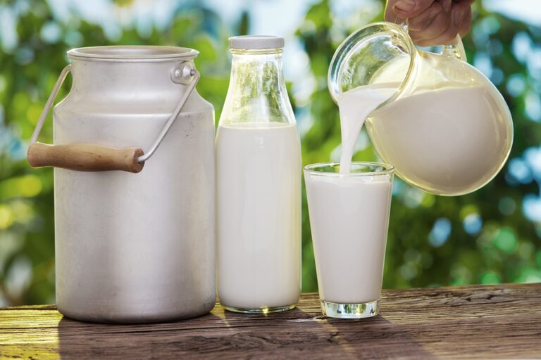 Zim’s raw milk production climbs to 78 million litres - herald