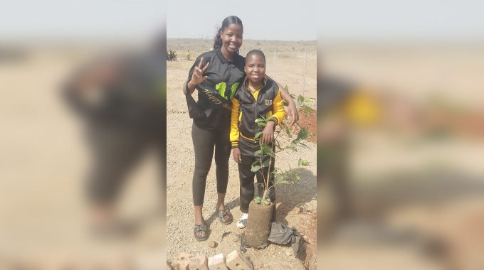 Teenager celebrates 18th birthday with environment in mind: Plants 40 ...