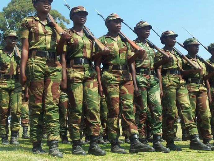 Zim soldiers hailed for resilience - herald