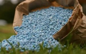 EDITORIAL COMMENT: We can make a lot more fertiliser and use it smartly ...