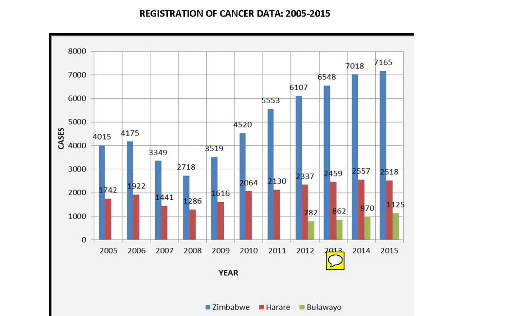 Zim makes giant strides in cancer data collection - herald