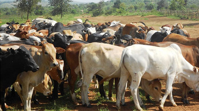 Livestock stakeholders call for action on regulatory reforms – herald