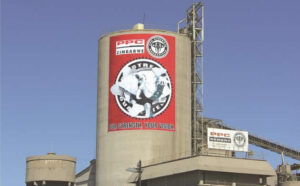 PPC Zimbabwe revenue rises 14,3percent - Zimbabwe Situation