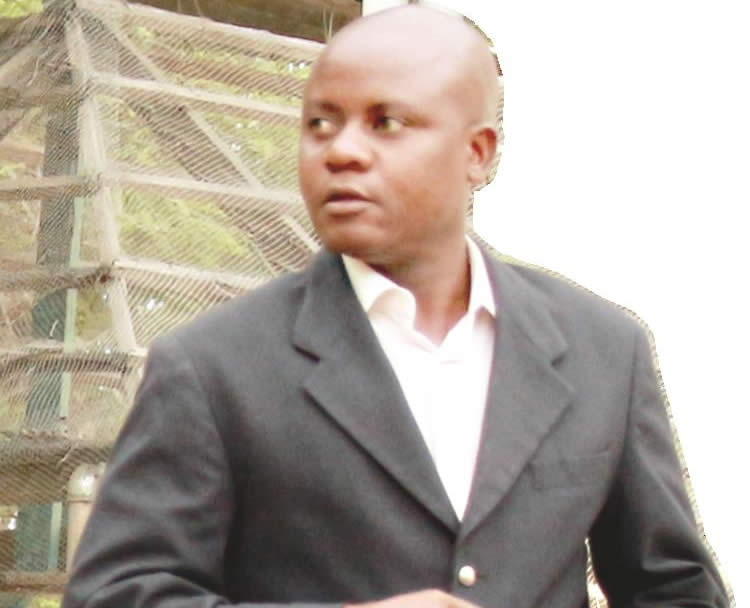 Mashingaidze grilled - herald