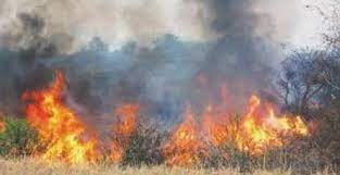 Veld fires destroy 34 000ha of land – herald