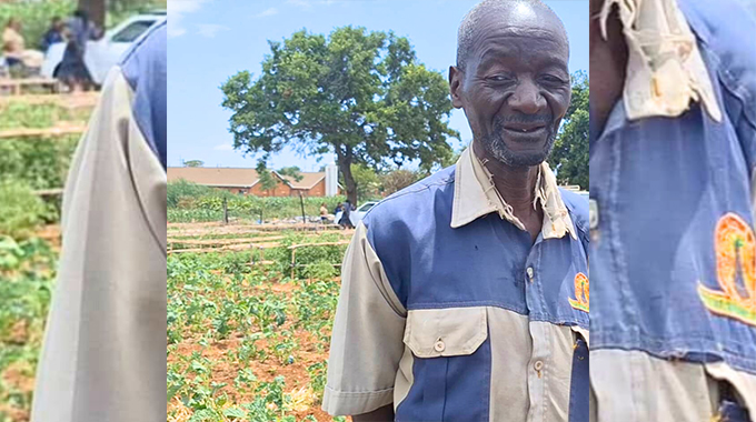 Bulawayo blooms: Nutritional gardens sprout hope, health – herald