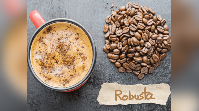 The origins of Robusta coffee: Fun Facts - herald
